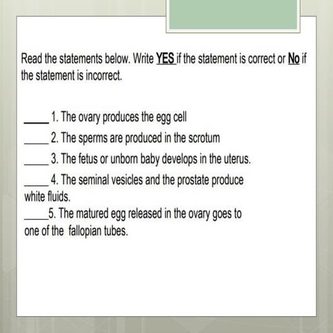 science grade 5 the human reproductive system.pptx