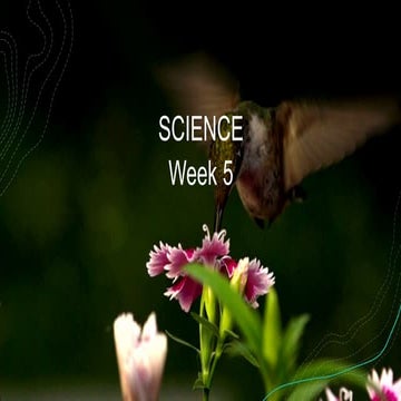 Science Week 5.pptx