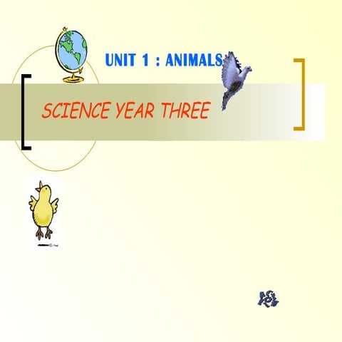 Science year 3 presentation | PPT