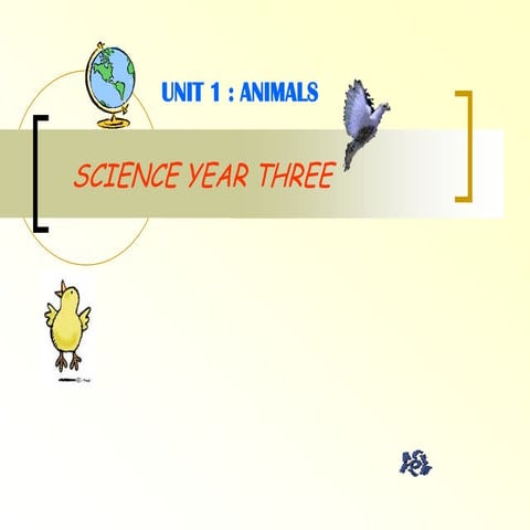 External features of animals | PPTX