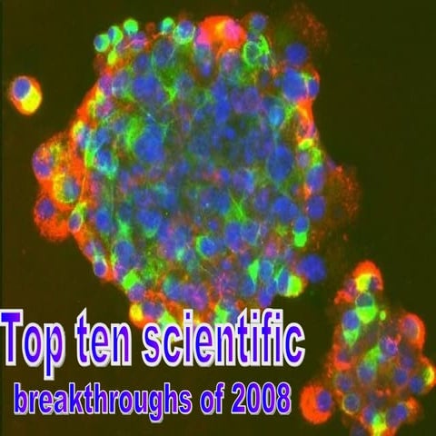Scientific Breakthrough Of 2008 | PPS