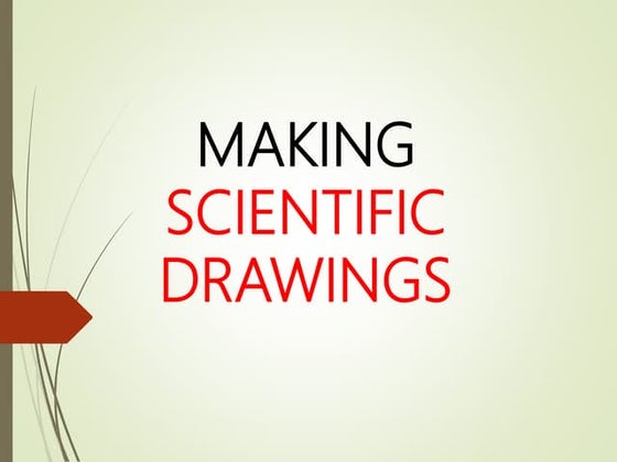 Scientific drawings | PPT