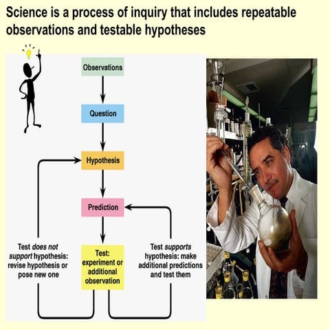 Scientific Method And Graphs Ppt