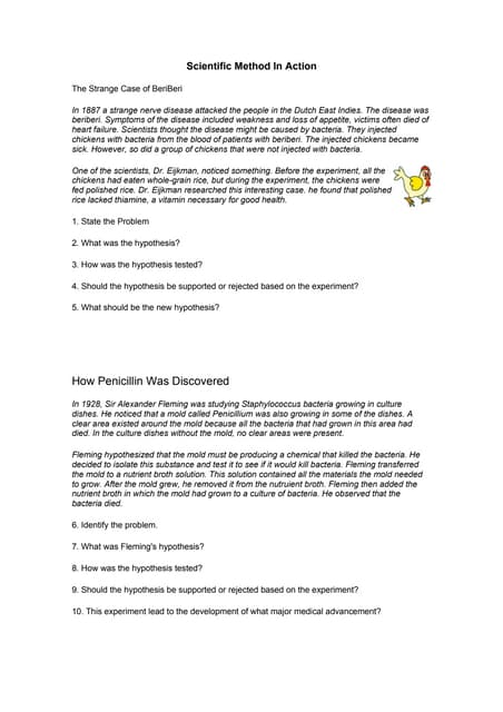 Punnet squares | PPTX