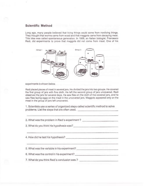 Sexual Reproduction in Animal (Internal and External Fertilization | PDF