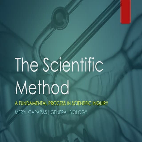 The Scientific Method Power point ..pptx