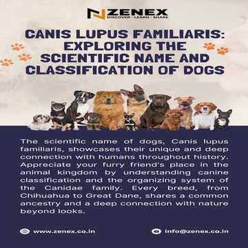 Unleash the Canine Classification: Discover Scientific name of Dog | PDF