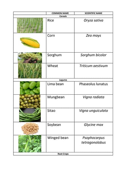 Botanical names store