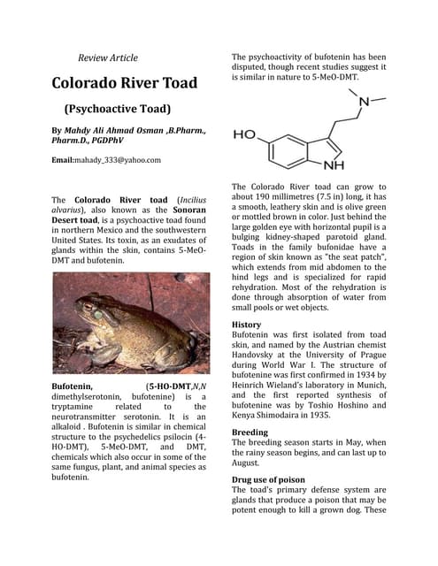 Presentacion rise bridge program | PPT