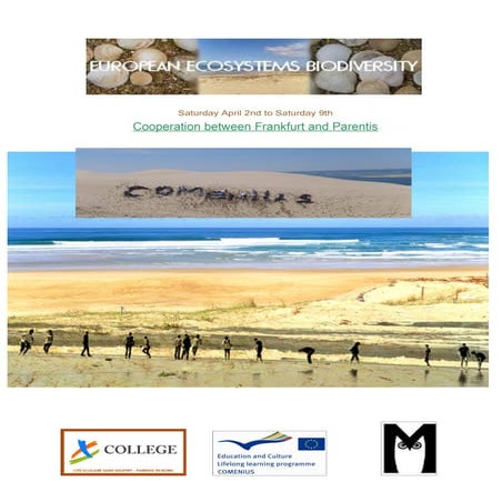 Scientific report | PDF