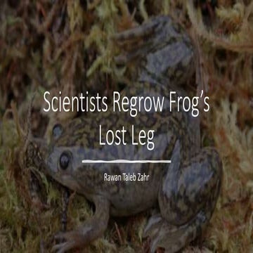 Scientists Regrow Frog’s Lost Leg.pptx