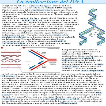 Replicazione del dna | PDF