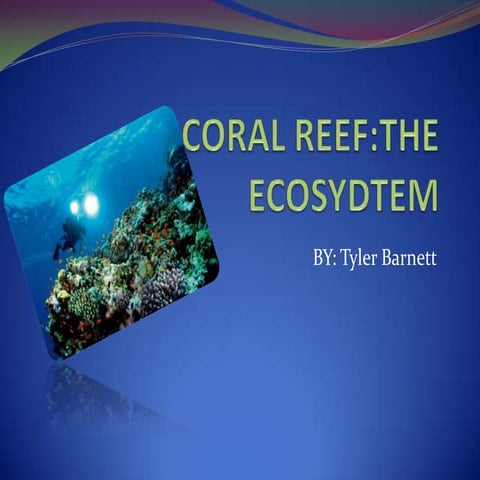 Coral Reef | PPT