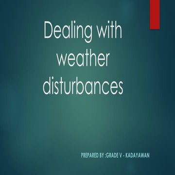 Science 'Dealing with weather disturbances'.pptx