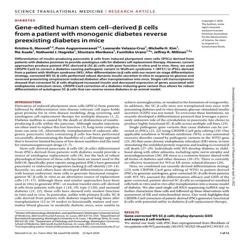 Stem cell based therapies for diabetes | PDF