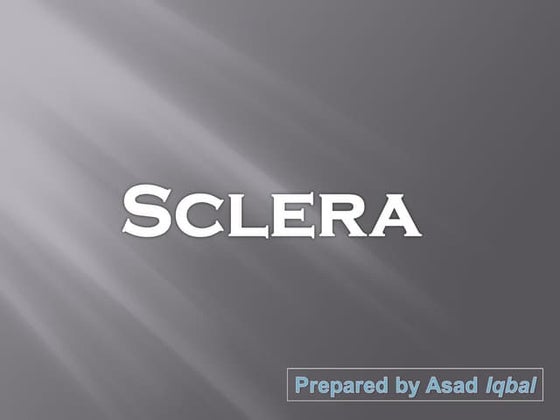 anatomy of sclera | PPT