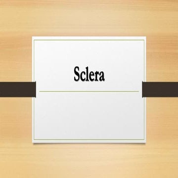Sclera | PPTX