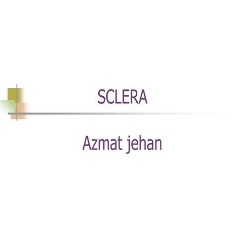 SCLERA anatomy .blood supply and nerve supply | PPT | Eye and Vision ...