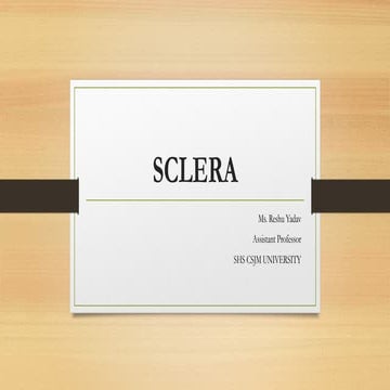 Anatomy Of Sclera | PPT
