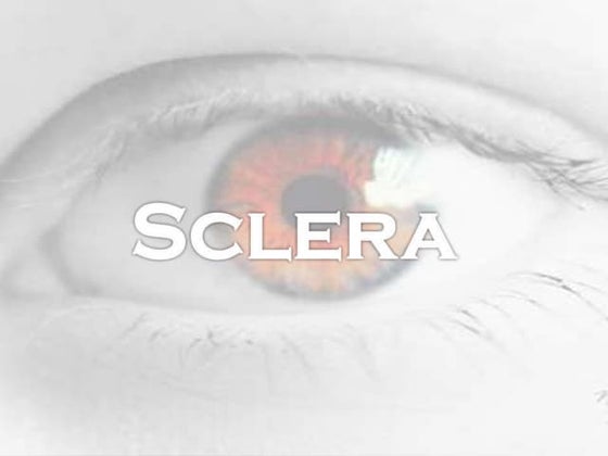 Sclera | PPTX | Eye and Vision Conditions | Diseases and Conditions