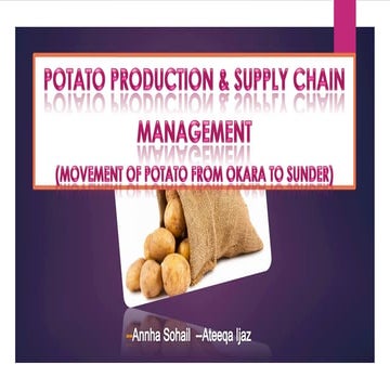 Potatoes Supply chain Management from Okara to Sunder state | PDF