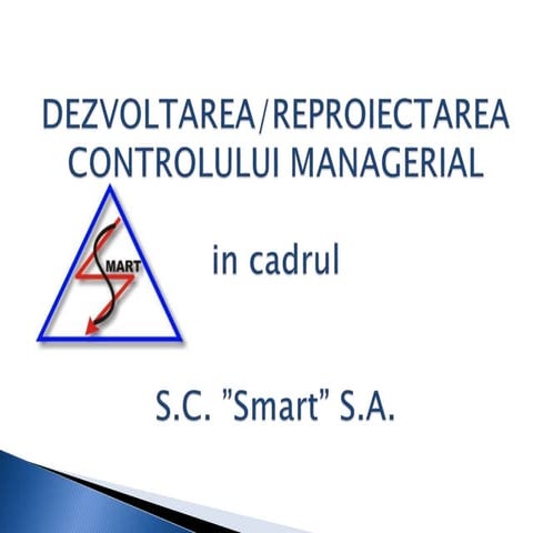 Control Intern Managerial - Diseminare | PPTX