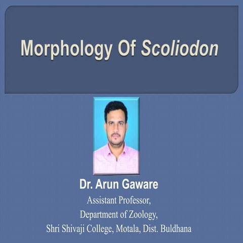 Scoliodon Morphology.pptx | Fish and Aquariums | Pets