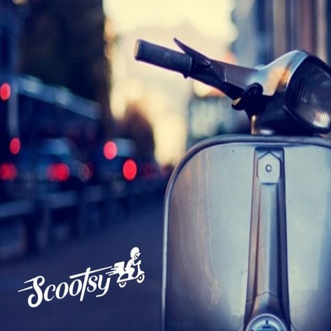 Scootsy Overview Deck - Pan City Delivery | PPT