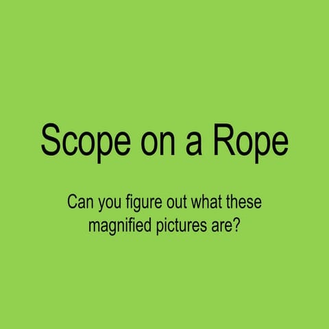 Scope On A Rope | PPT