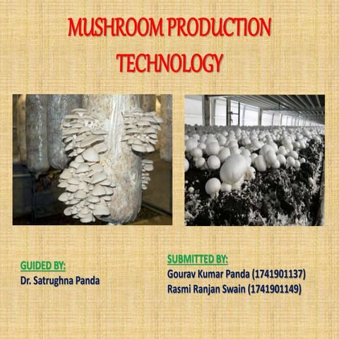Classification of mushrooms | PDF