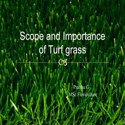Scope and importance of turf grass | PPTX