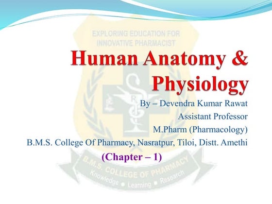 scope of human anatomy and physiology | PPTX | Lung and Respiratory ...