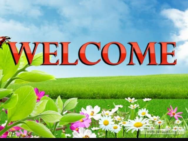 Application of Statistics in Business | PPTX | Business Administration ...