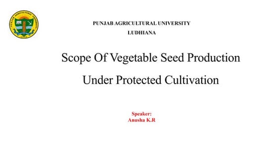 Off season vegetable production | PPTX | Agriculture | Industries
