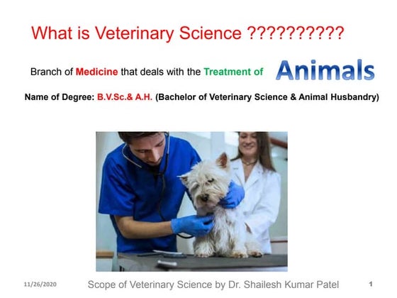 Careers in veterinary science | PPTX