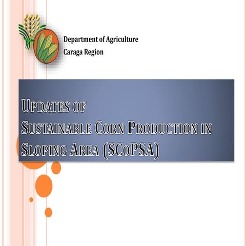 Sustainable Corn Production in Sloping Areas | PPT