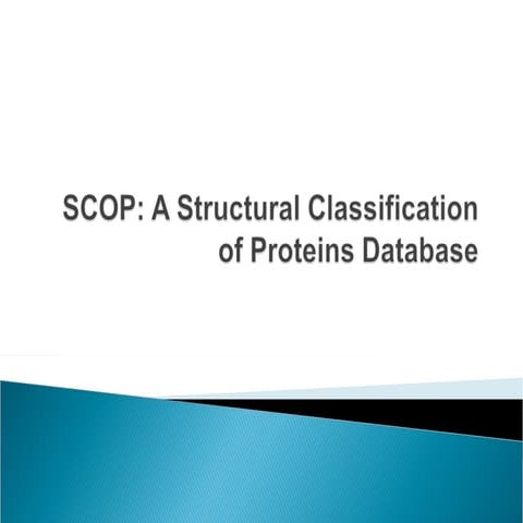 SCOP_structural_classification_of_Protei.ppt