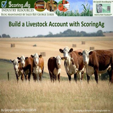 Scoring ag livestock account set up | PPT