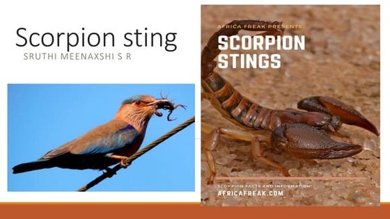 Clinical features & Management of ARTHROPODS STING AND BITES.pptx ...