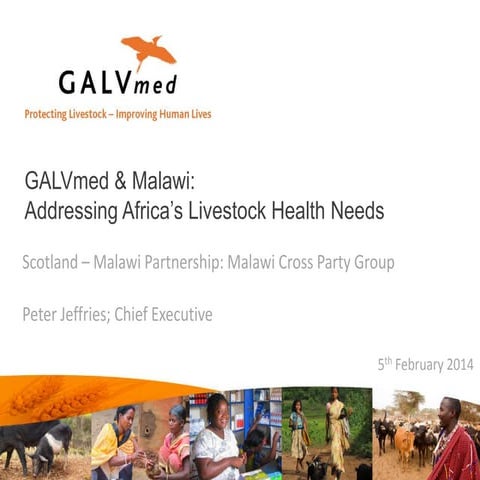 CPG on Malawi- GALVMed presentation 5th February 2014 | PPTX