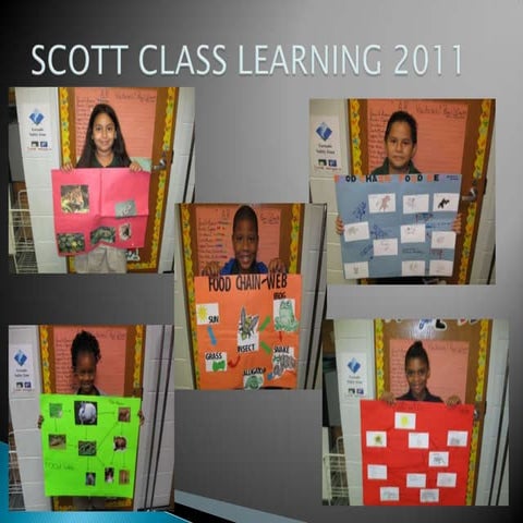 Scott class learning 2011 | PPT