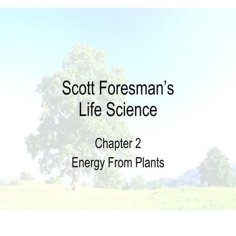 Chapter 2 Lesson 1- What are plants' characteristics | PPT