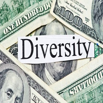 Investment Diversity - Crowdfunding is more than just startups | PDF