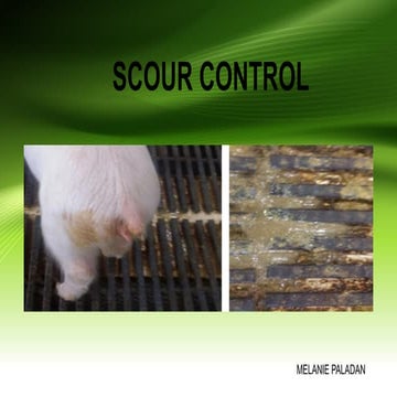 SCOUR-CONTROL.pptx-MELAY-REPORT.pptxffdd | PPTX