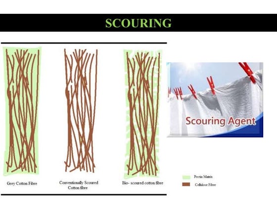 Scouring | PPT