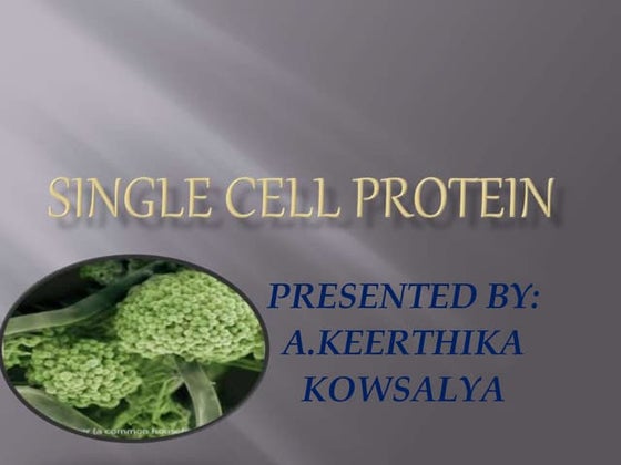 Single cell protein | PPT