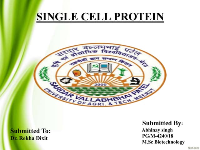 Single cell protein | PPTX | Chemistry | Science