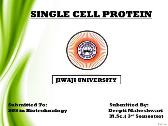 Single cell protein | PPT