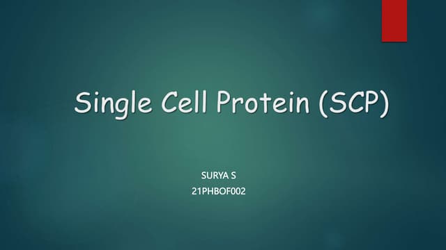 Single cell protein | PPTX | Chemistry | Science