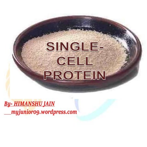 Single cell protein.pdf